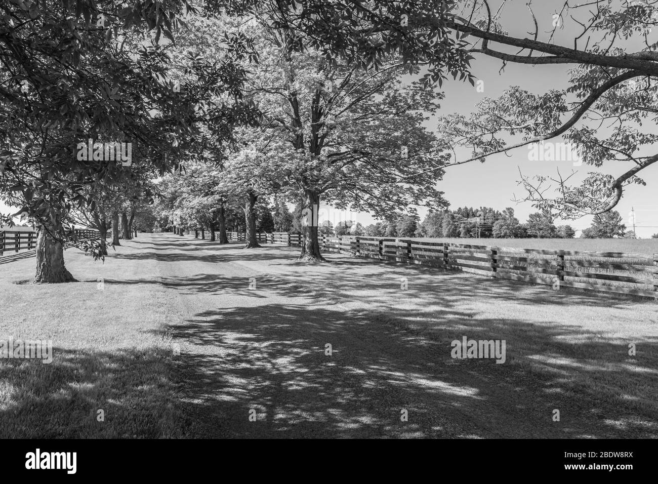 Canadian Cottage country Scene in summer Stock Photo - Alamy