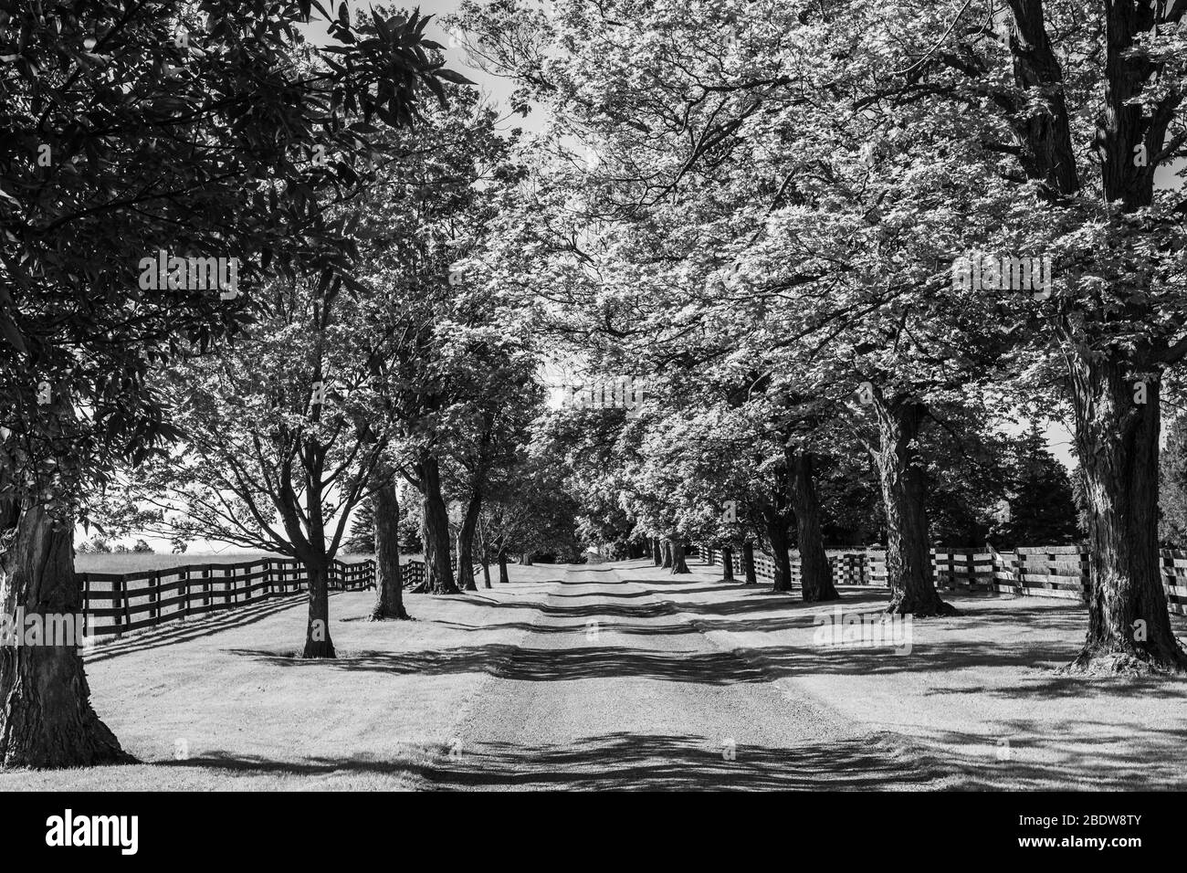Canadian Cottage country Scene in summer Stock Photo - Alamy