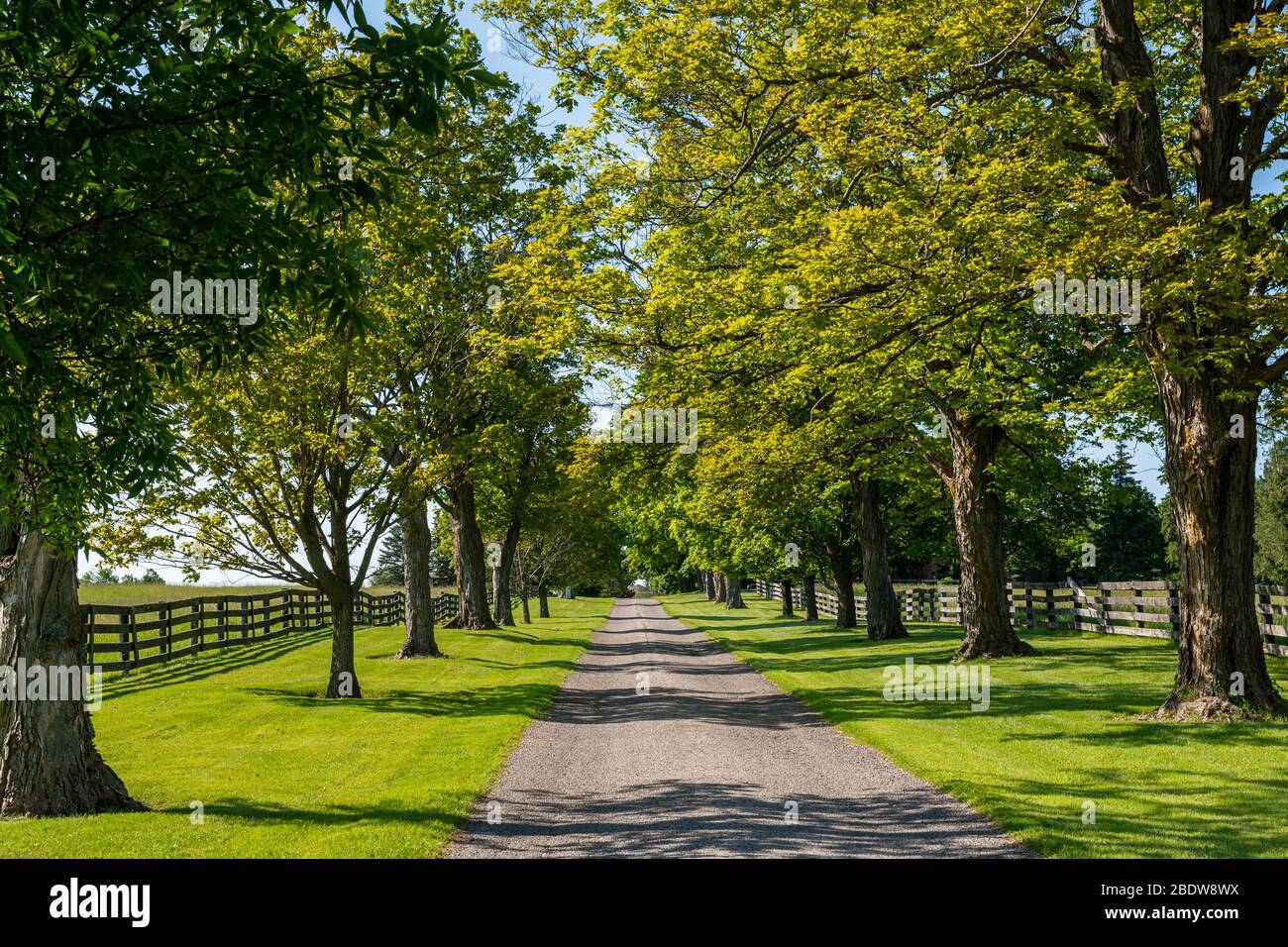 Canadian Cottage country Scene in summer Stock Photo - Alamy
