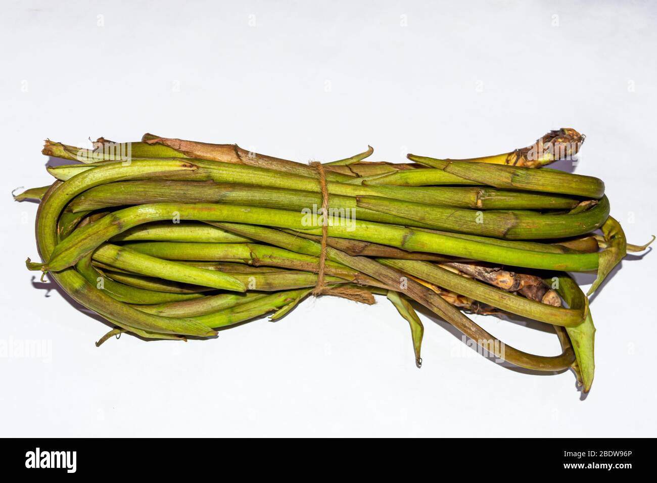 Taro Stolon High Resolution Stock Photography and Images - Alamy