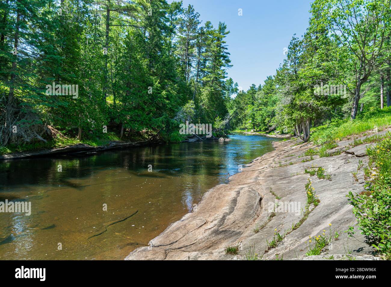 Canadian Cottage country Scene in summer Stock Photo - Alamy