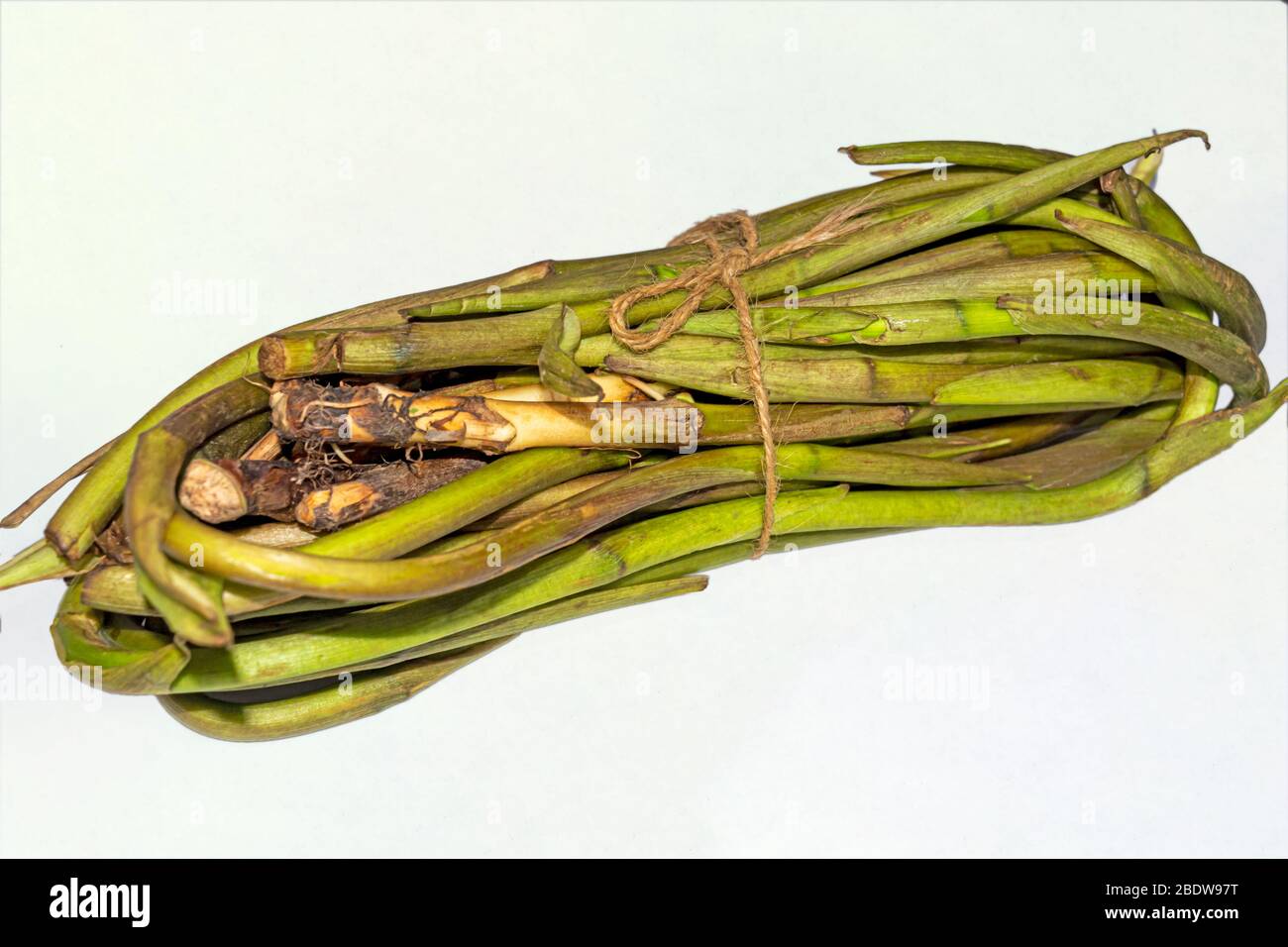 Taro Stolon High Resolution Stock Photography and Images - Alamy