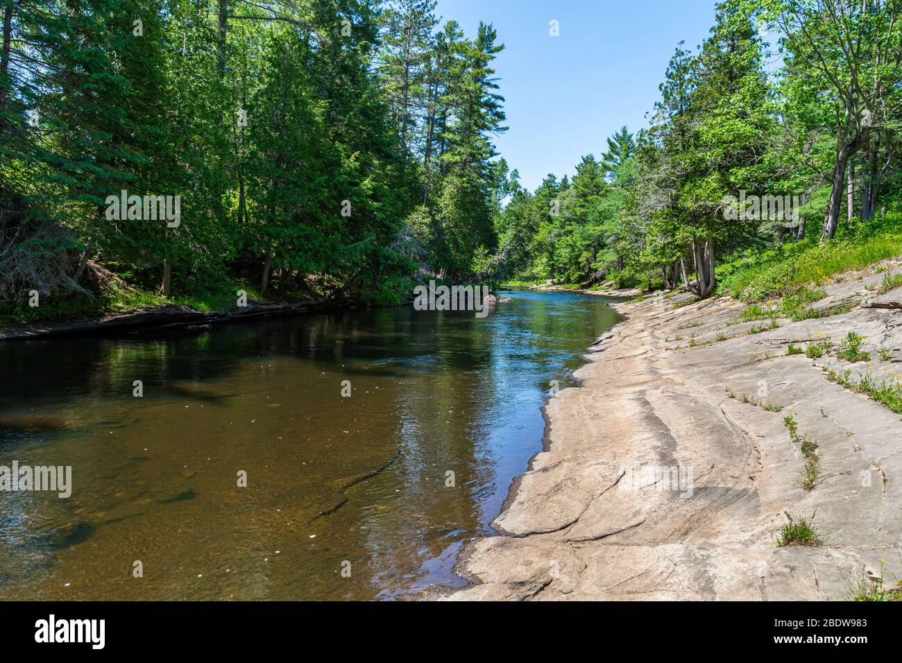 Canadian Cottage country Scene in summer Stock Photo - Alamy