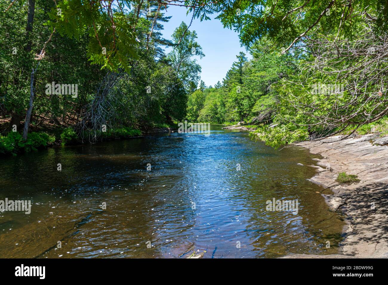 Canadian Cottage country Scene in summer Stock Photo - Alamy