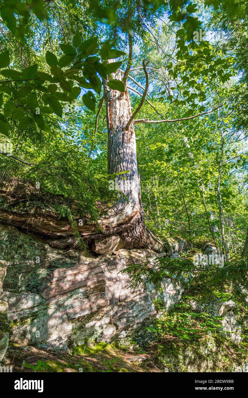 Canadian Cottage country Scene in summer Stock Photo - Alamy