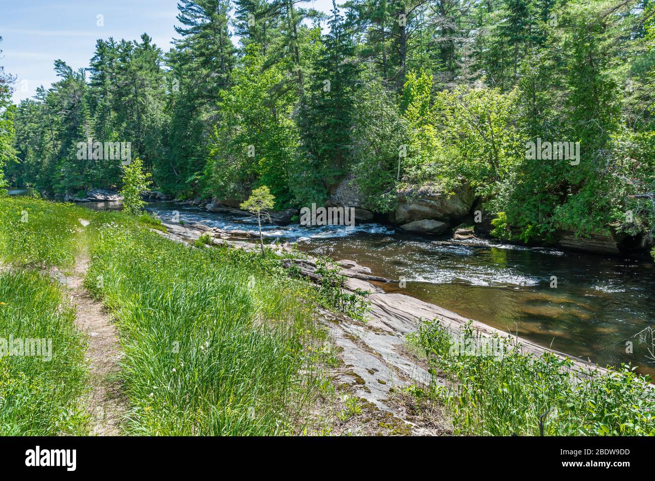 Canadian Cottage country Scene in summer Stock Photo - Alamy