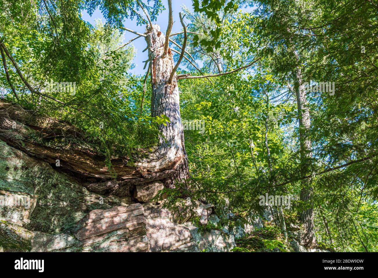 Canadian Cottage country Scene in summer Stock Photo - Alamy