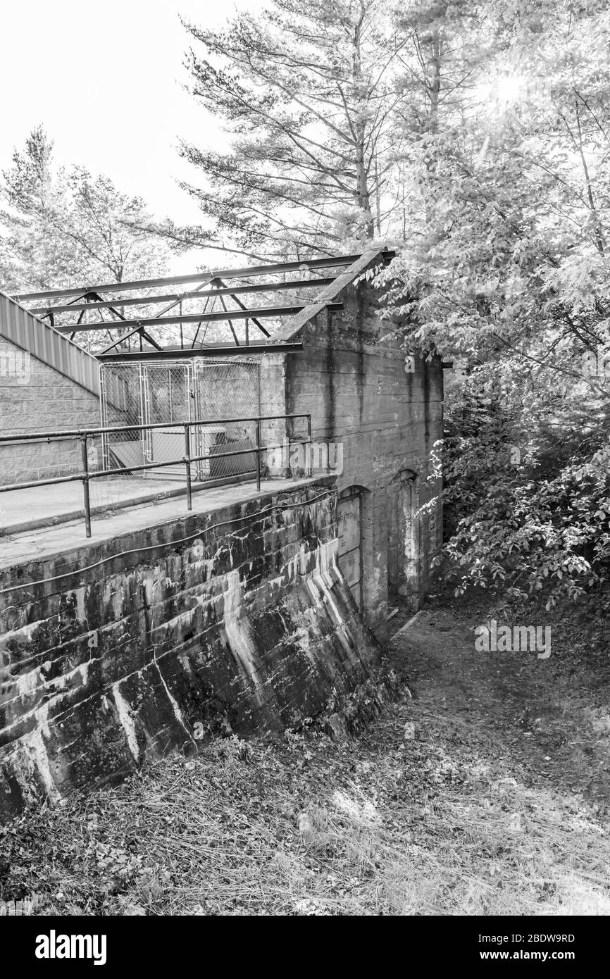 Canadian Cottage country Scene in summer Stock Photo - Alamy