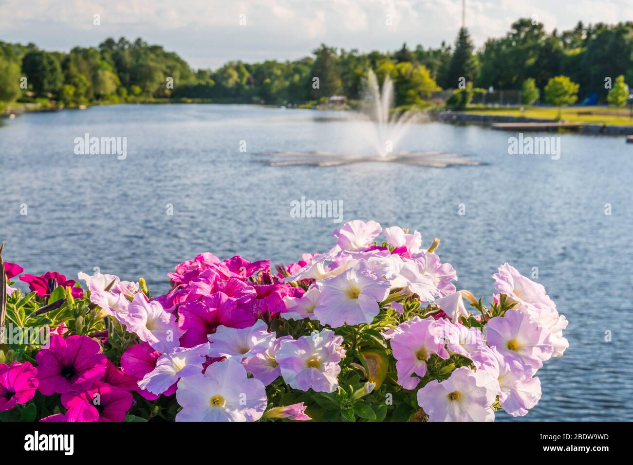 Canadian Cottage country Scene in summer Stock Photo - Alamy