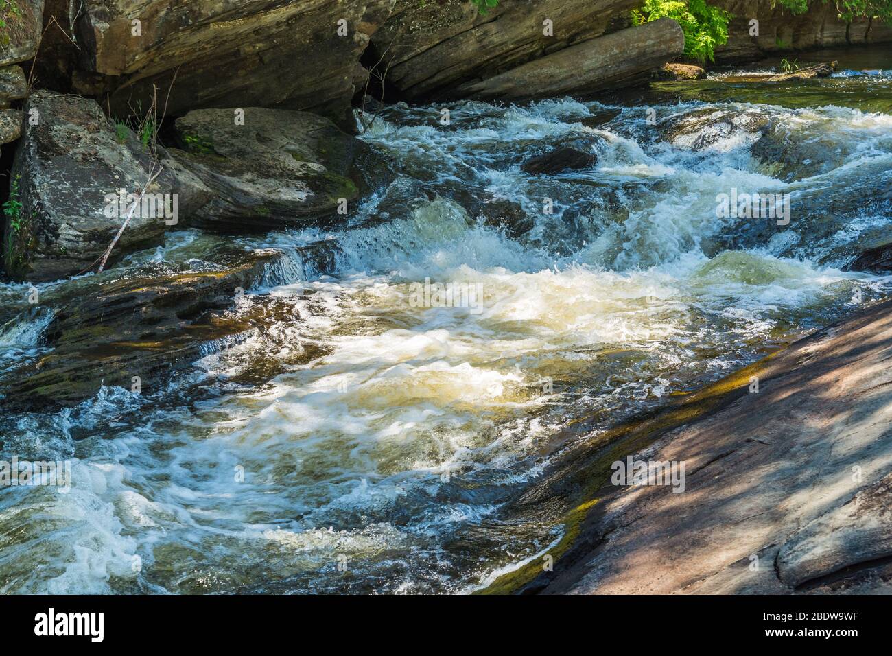 Canadian Cottage country Scene in summer Stock Photo - Alamy