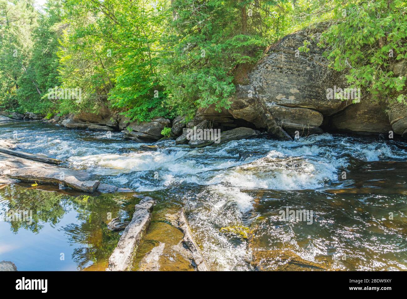 Canadian Cottage country Scene in summer Stock Photo - Alamy