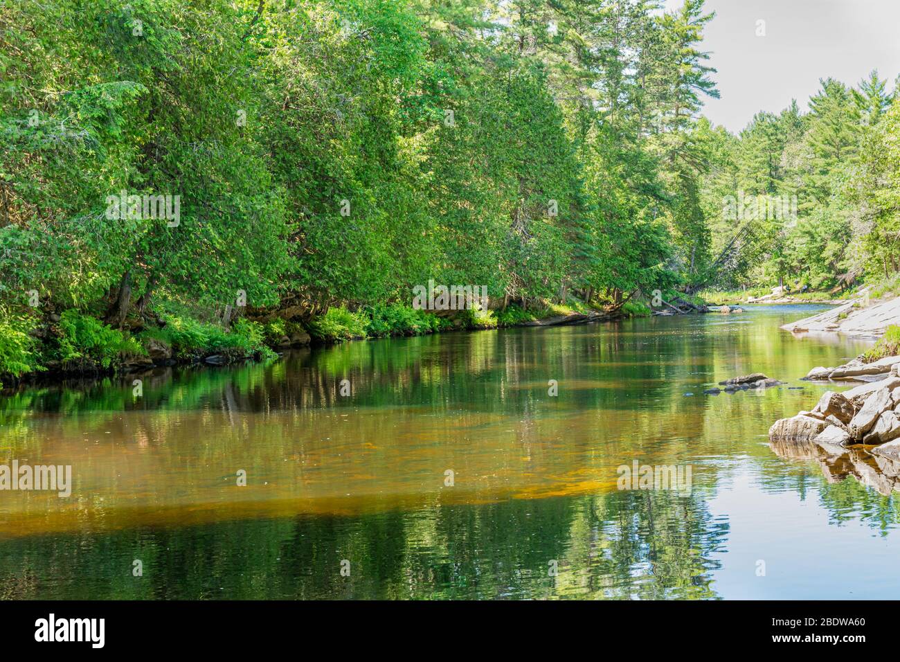 Canadian Cottage country Scene in summer Stock Photo - Alamy