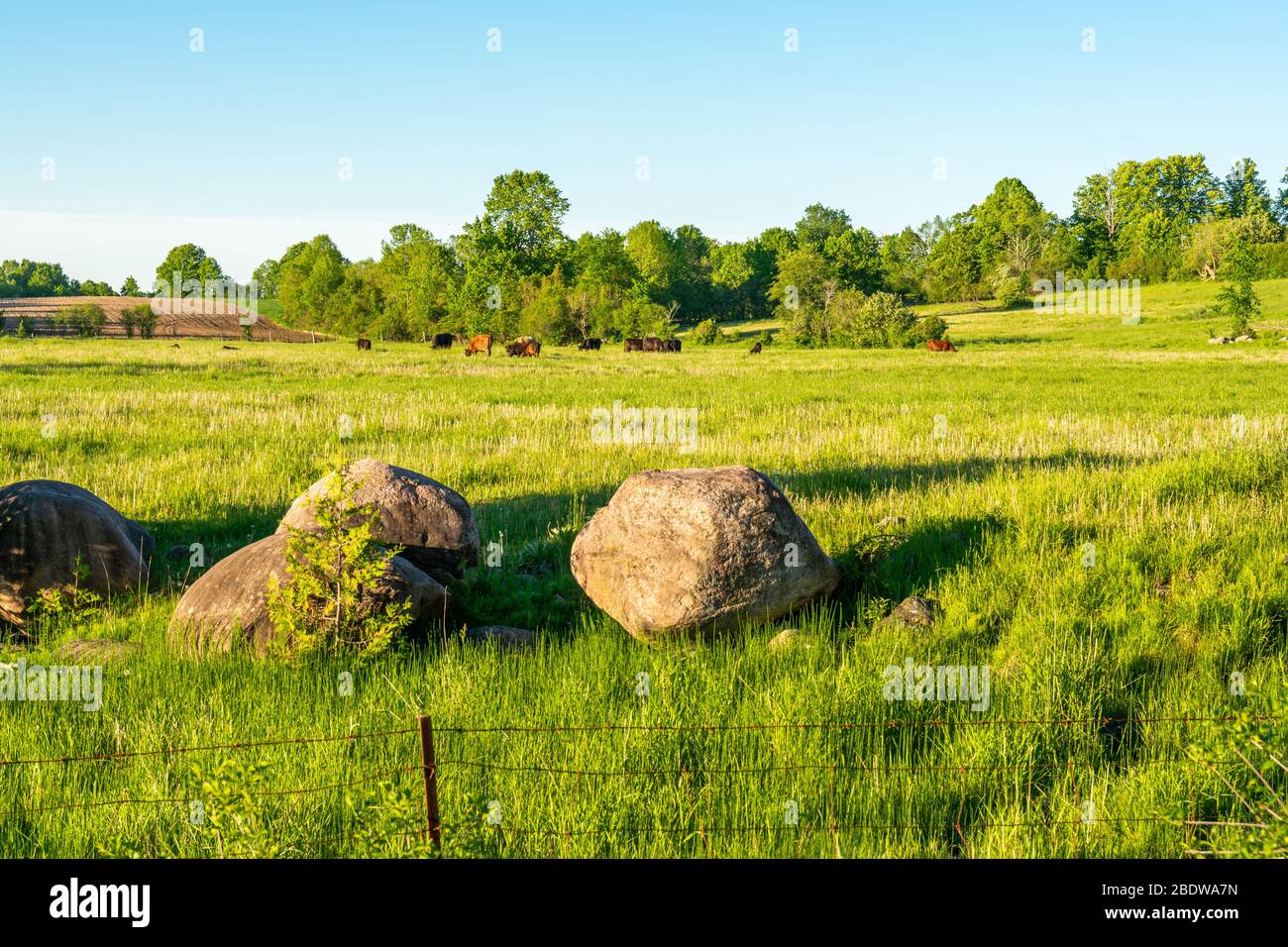 Canadian Cottage country Scene in summer Stock Photo - Alamy