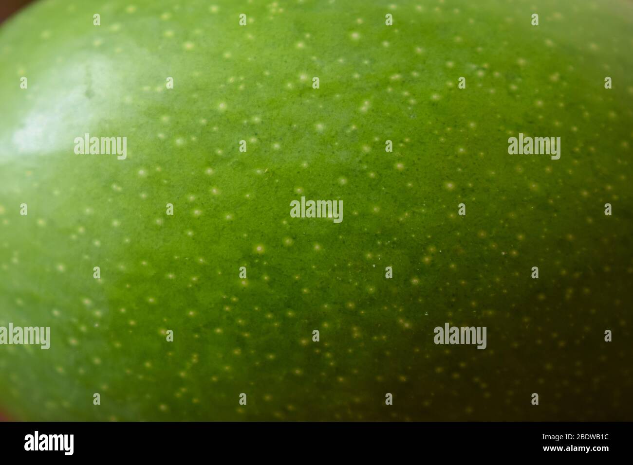 Organic Young Green Raw Mangoes Skin Texture Background Stock Photo - Alamy