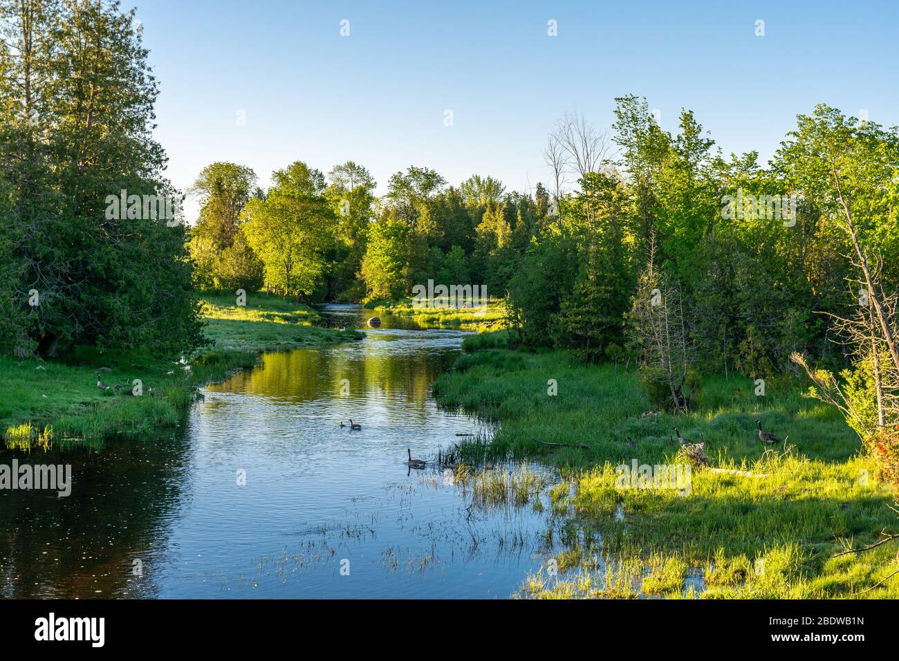 Canadian Cottage country Scene in summer Stock Photo - Alamy