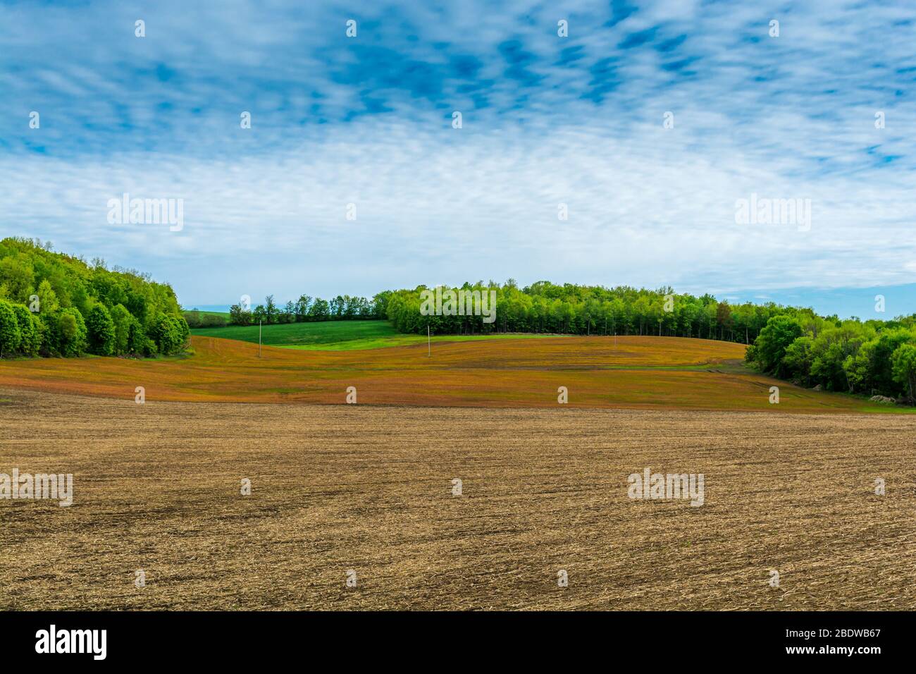 Canadian Cottage country Scene in summer Stock Photo - Alamy