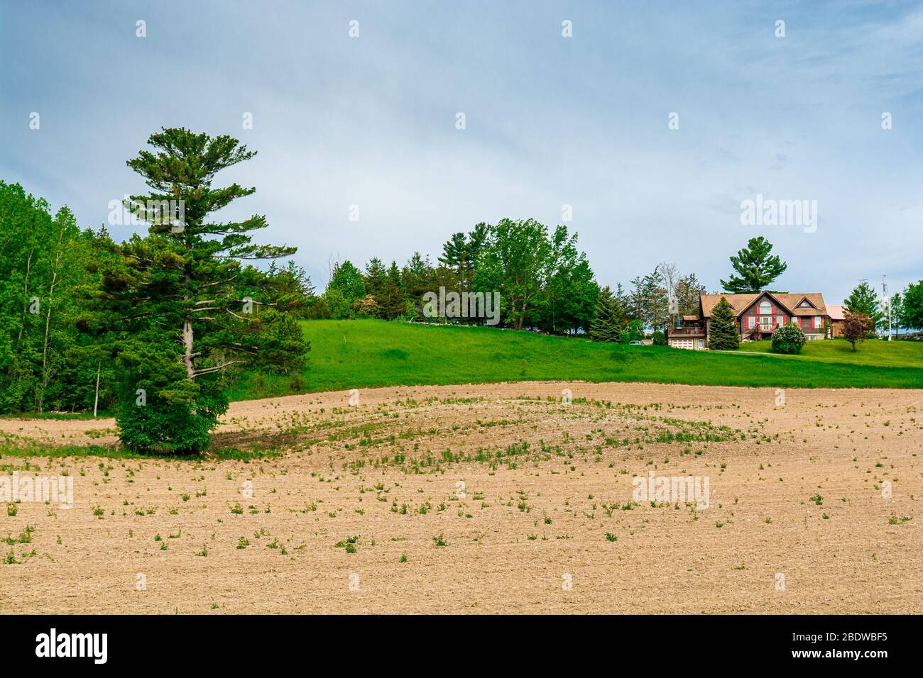 Canadian Cottage country Scene in summer Stock Photo - Alamy