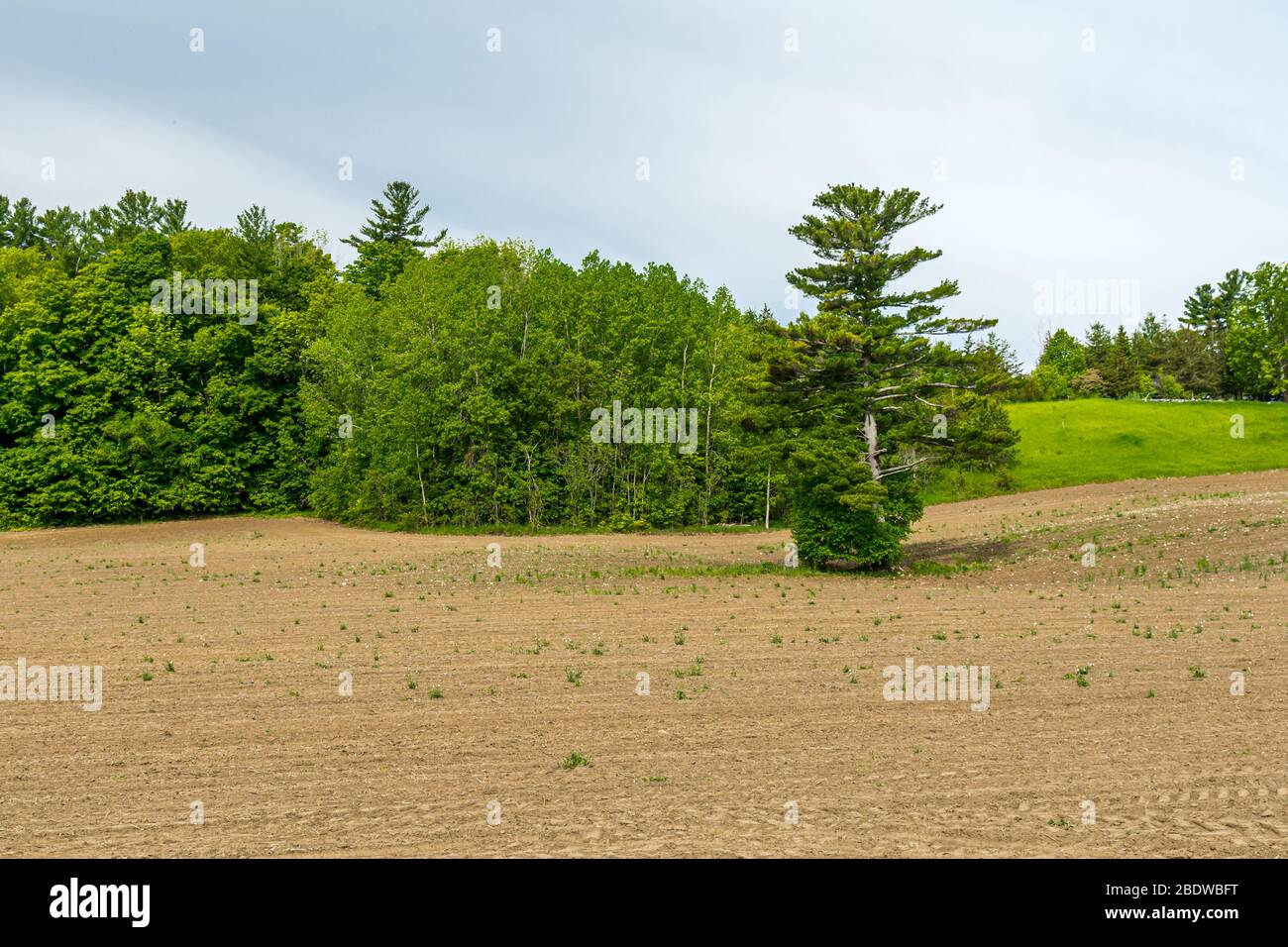 Canadian Cottage country Scene in summer Stock Photo - Alamy
