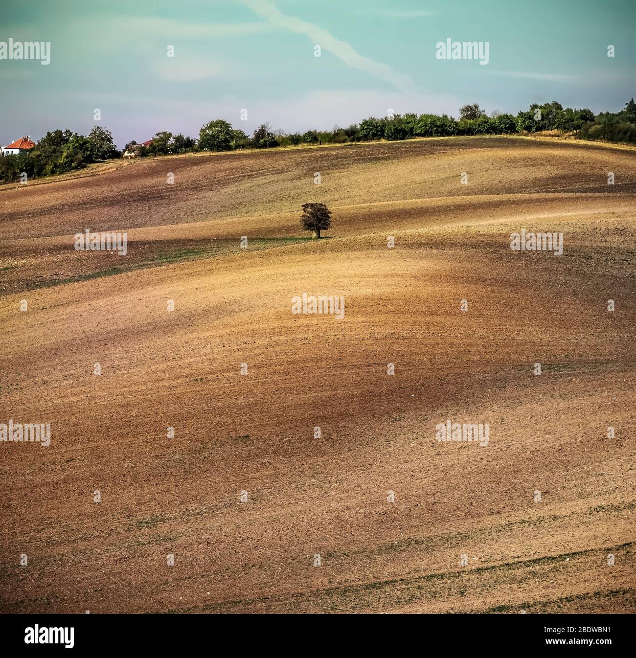 Farm empty brown field hi-res stock photography and images - Alamy