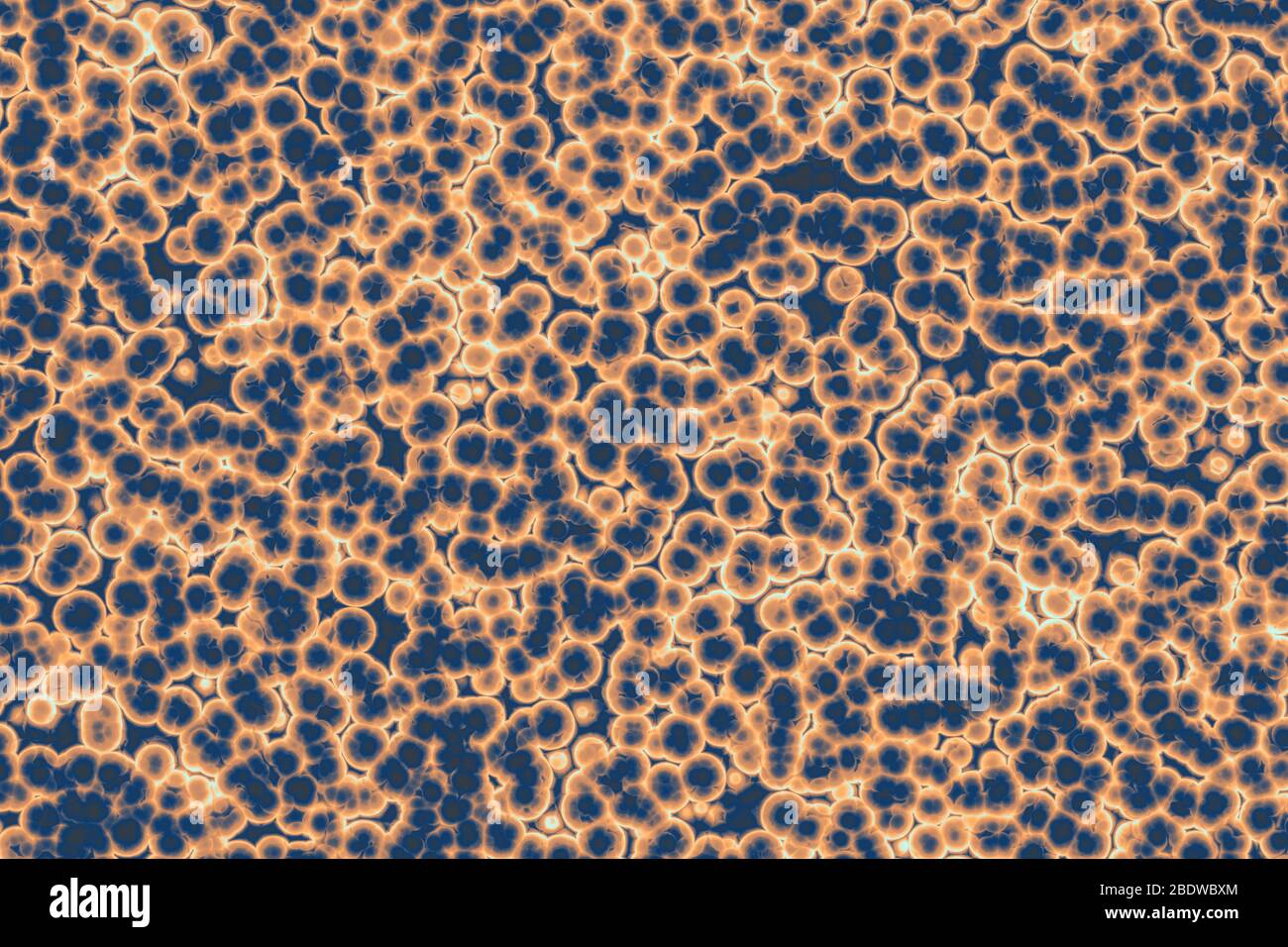 Bacteria micro-organisms disease-causing objects, bacteria, viruses ...