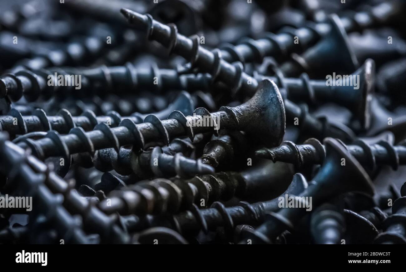 A lot of screws for screwdriver Stock Photo - Alamy