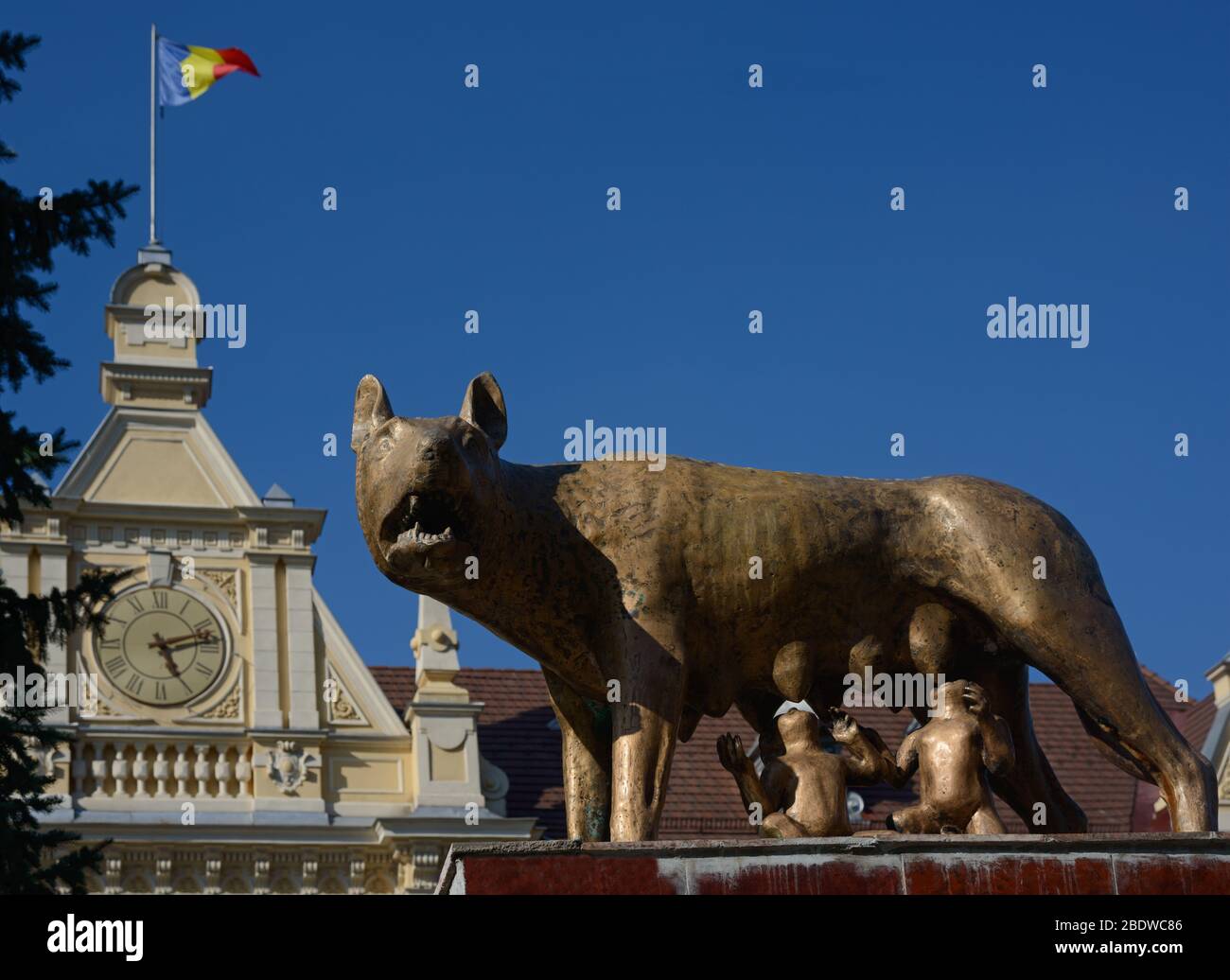 Sculpture in Brasov( Transylvania, Romania): Romulus and Remus - the ...