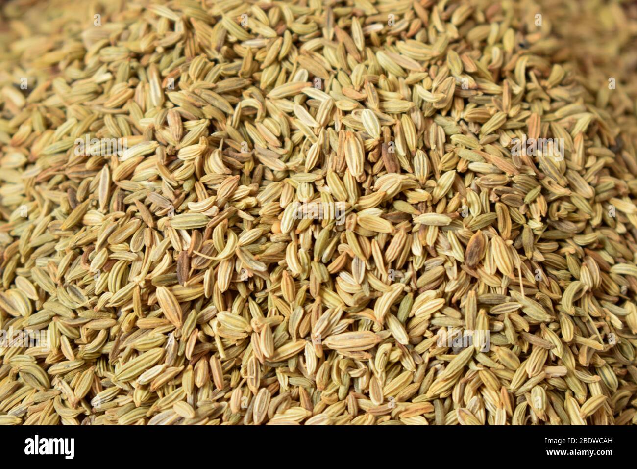 Dried Fennel Seeds as an abstract background texture Stock Photo - Alamy