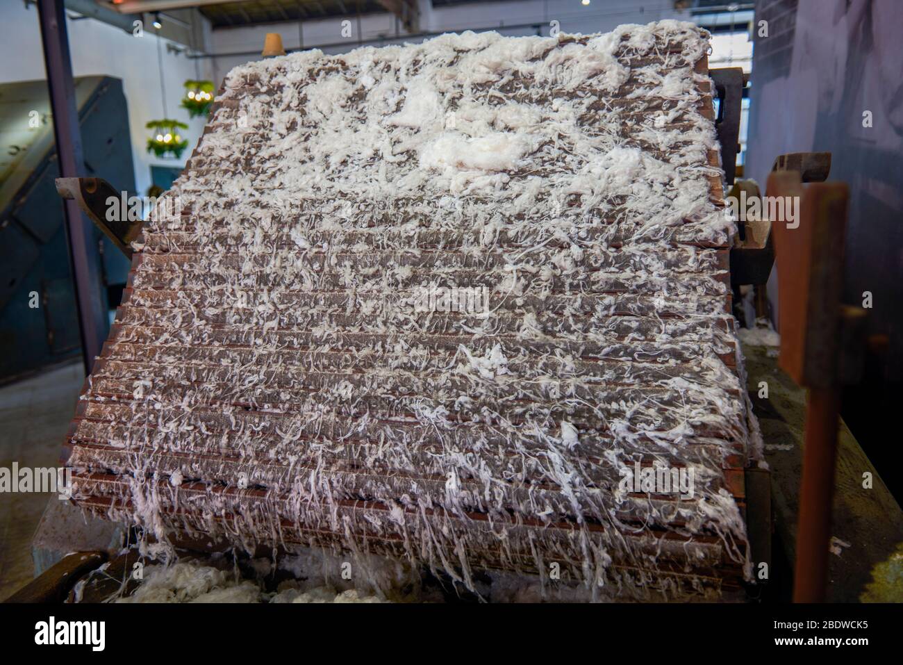 Cotton batting on a textile machine Stock Photo - Alamy