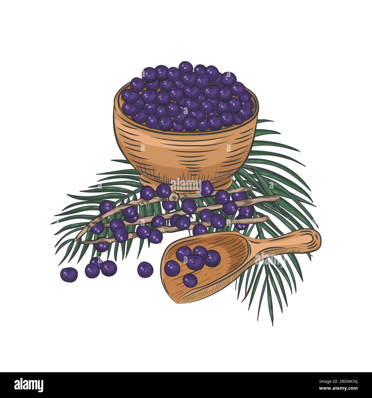 Whole acai berries Cut Out Stock Images & Pictures - Alamy