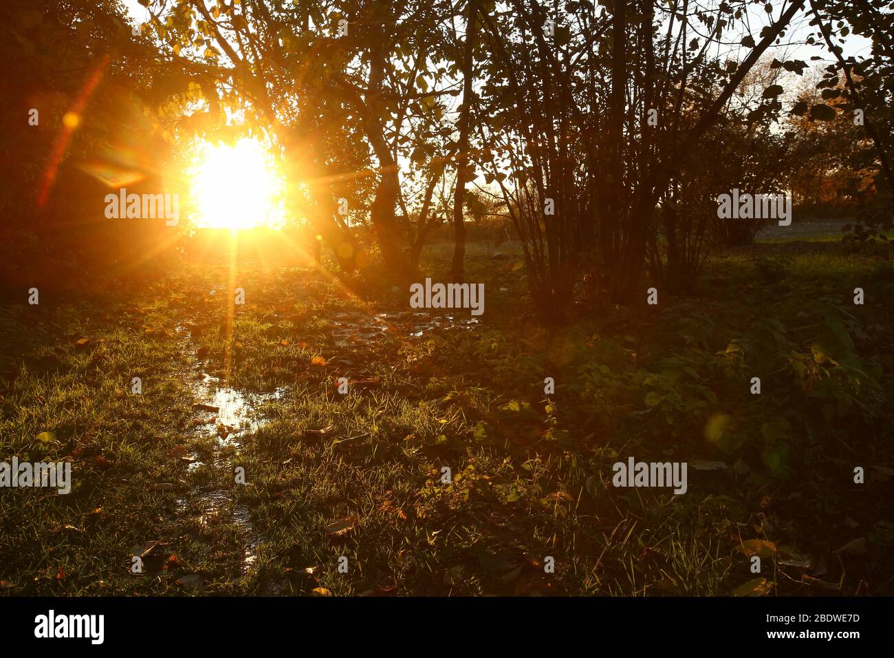 The sun is setting and dawn is breaking. Water flows through the grass ...