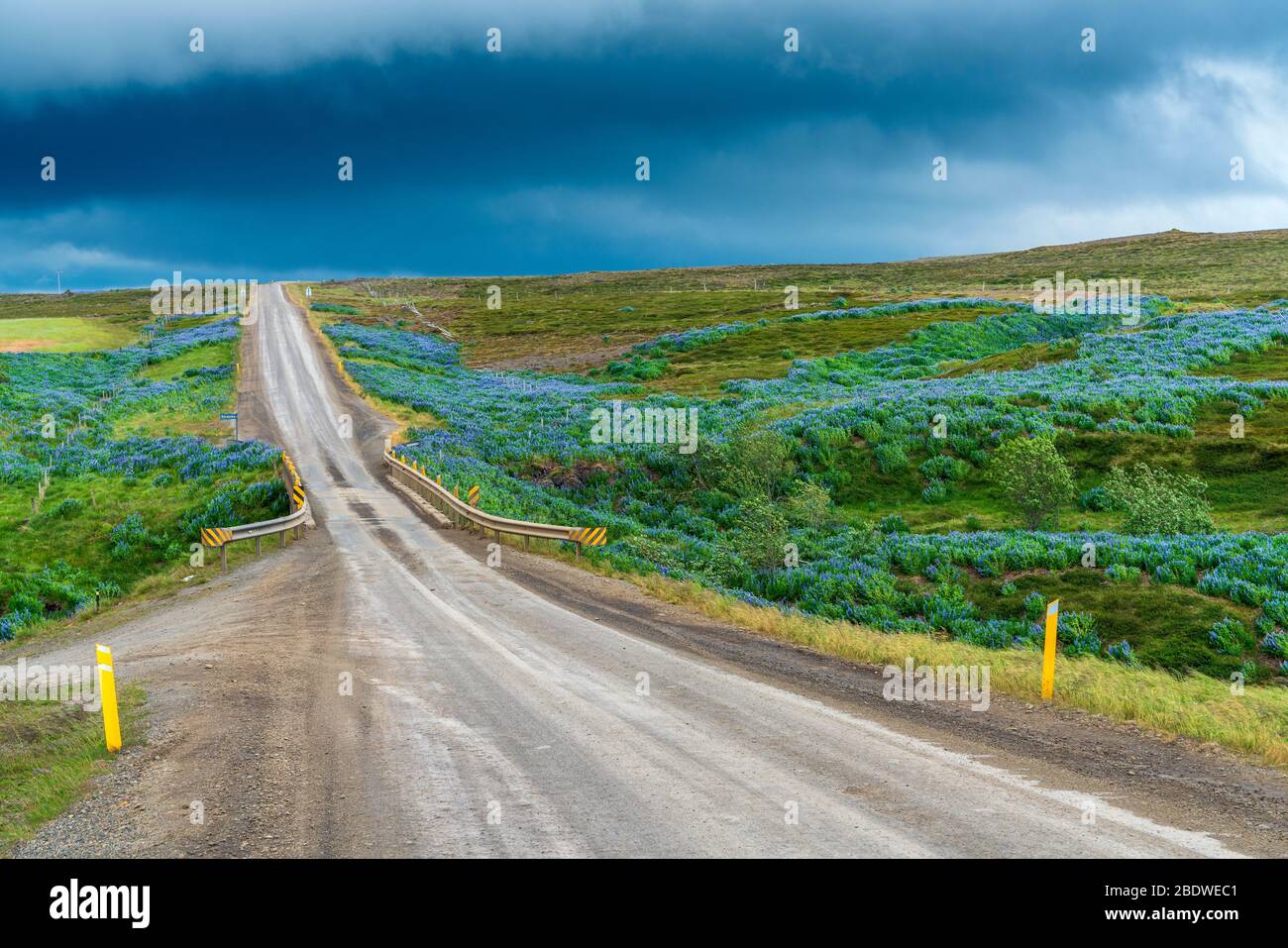 Road 54 iceland hi-res stock photography and images - Alamy