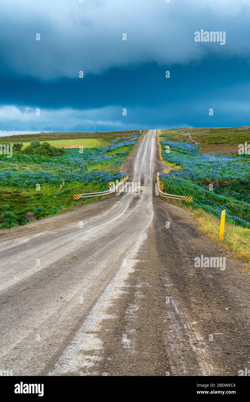 Road 54 iceland hi-res stock photography and images - Alamy