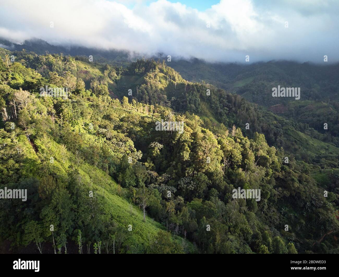 Early morning hilltop view hi-res stock photography and images - Alamy