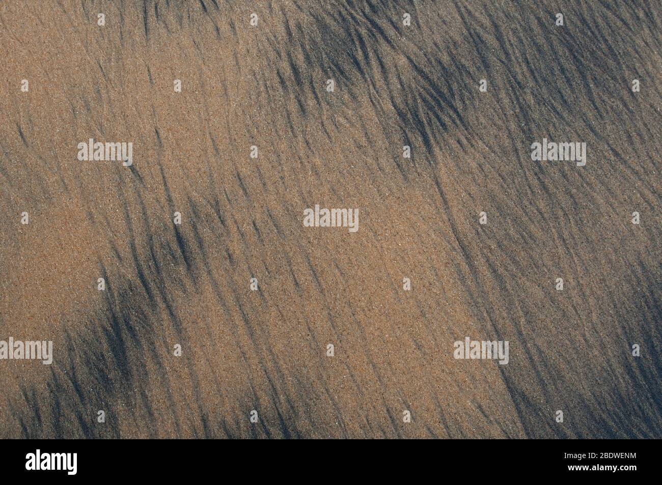 This is a close-up of wet sand from the surf zone ( littoral). It is an ...