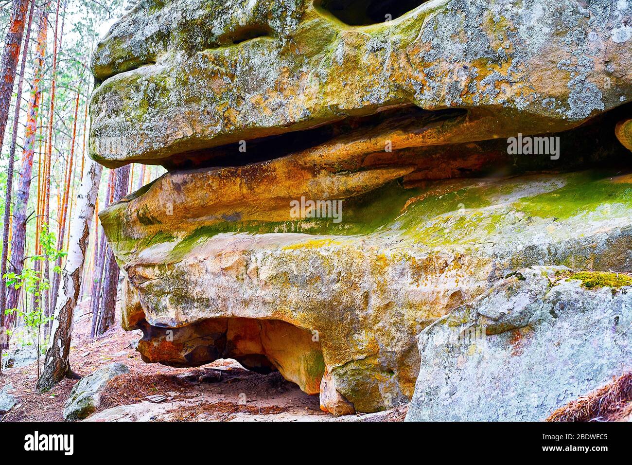 Carpathian national nature park hi-res stock photography and images - Alamy