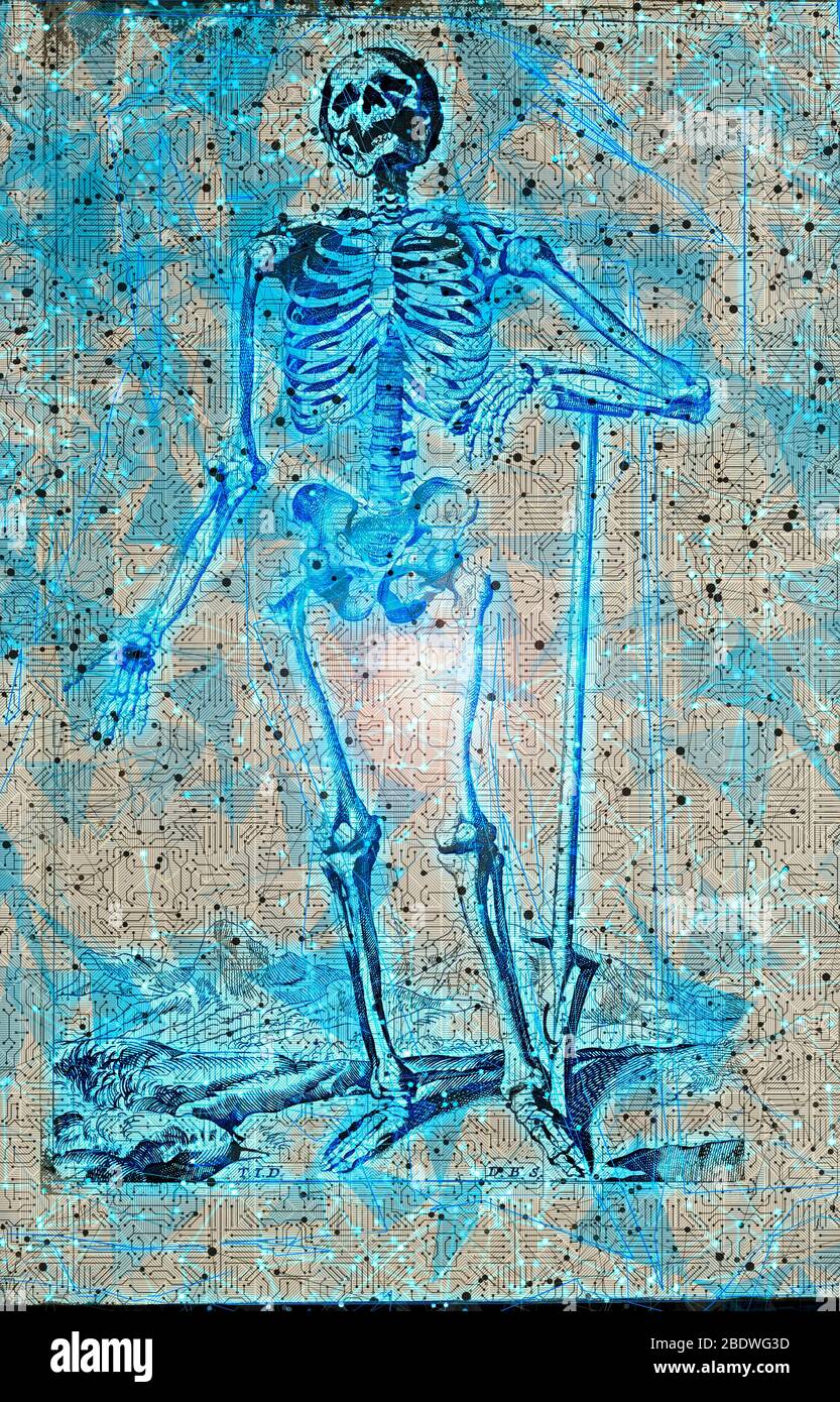 Digitally enhanced image of a Male full body front skeleton woodcut ...
