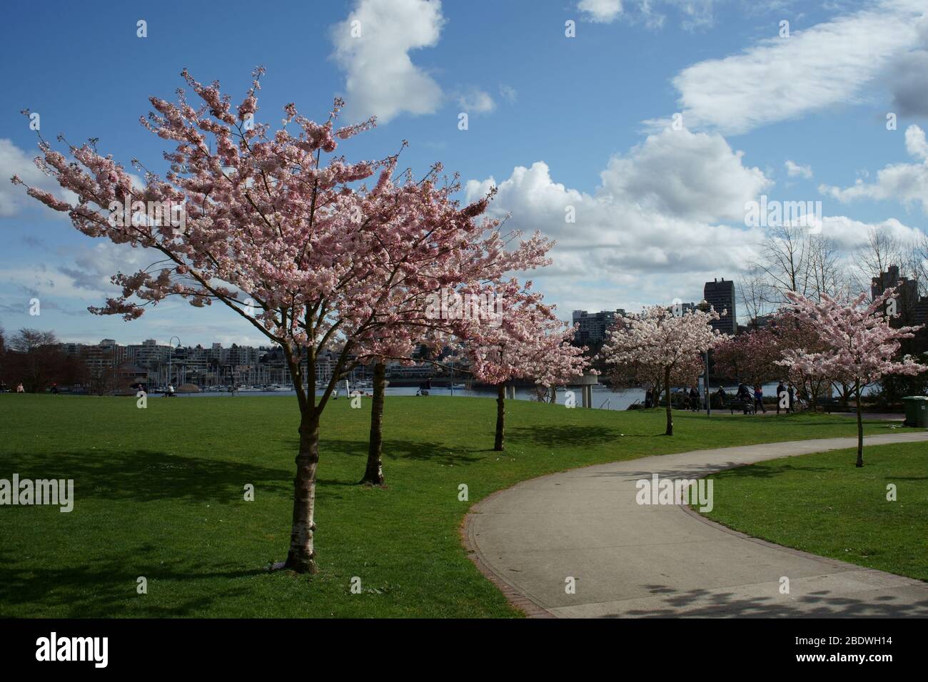 The scent of Spring Stock Photo - Alamy