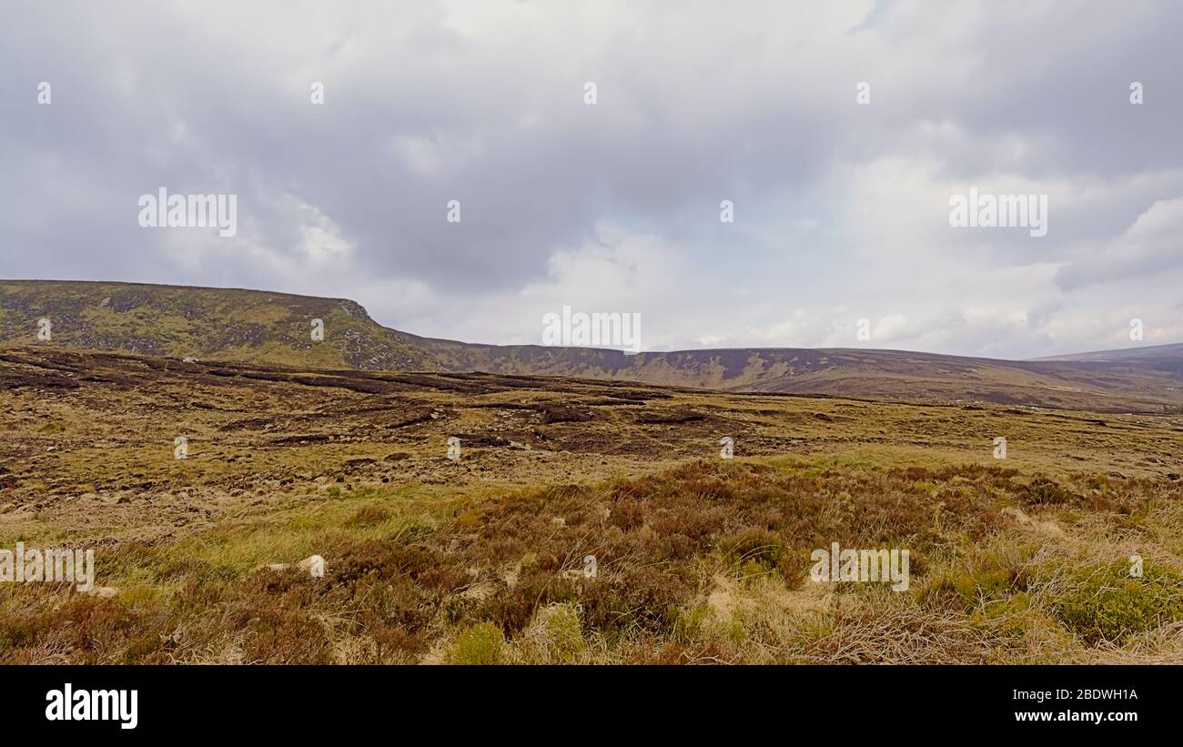Mountains with rocks and peatland in Wicklow national park, Dublin ...