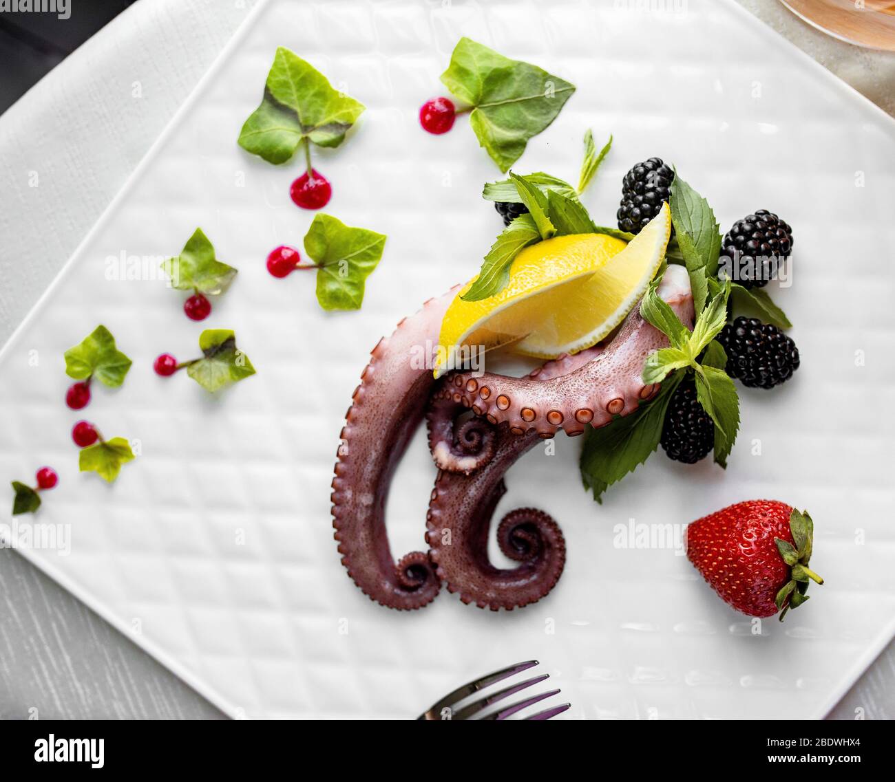 Little octopus hi-res stock photography and images - Alamy