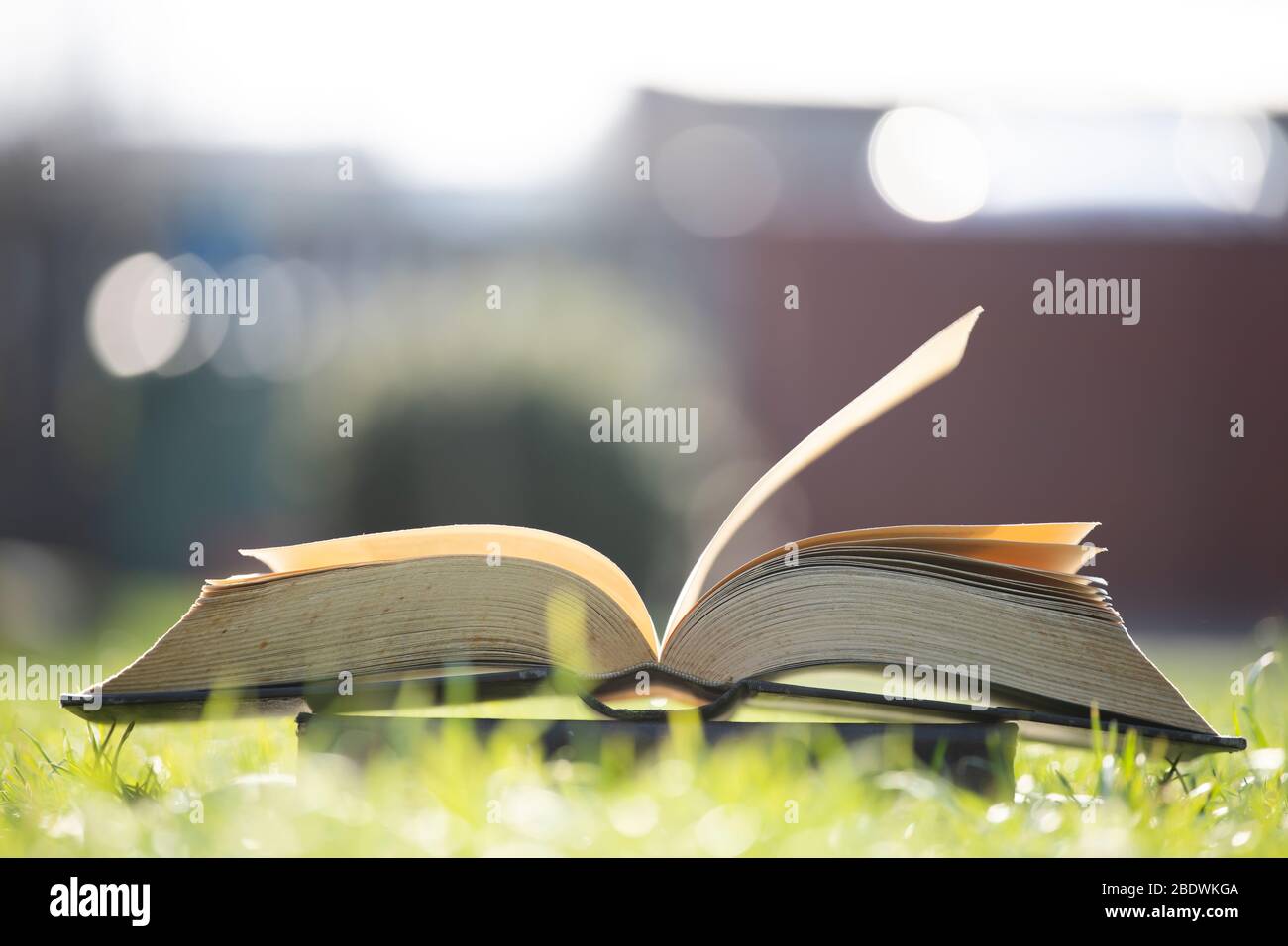 Open book under sunlight outdoors. Education and wisdom concept Stock ...