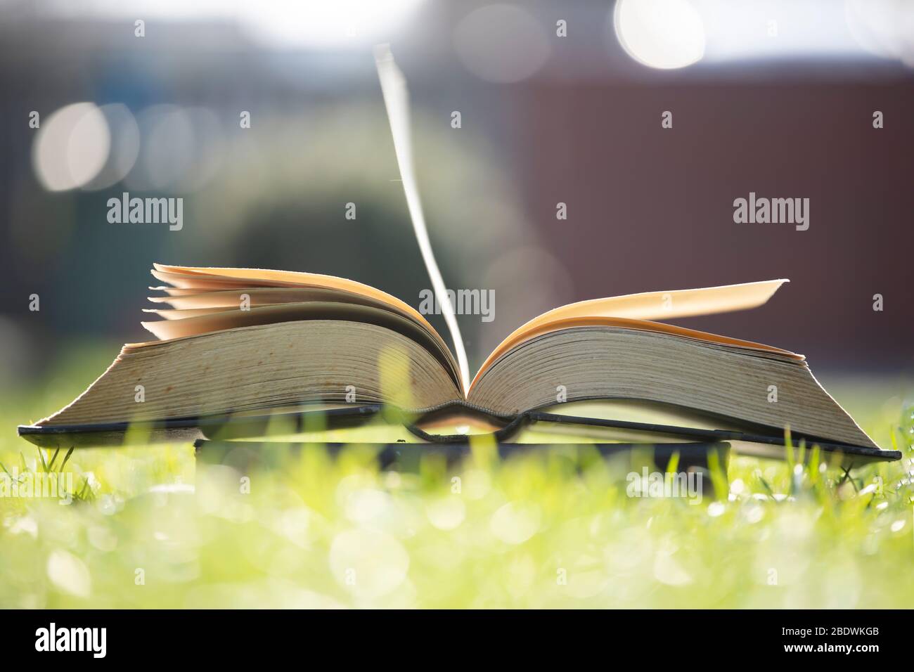 Open book under sunlight outdoors. Education and wisdom concept Stock ...