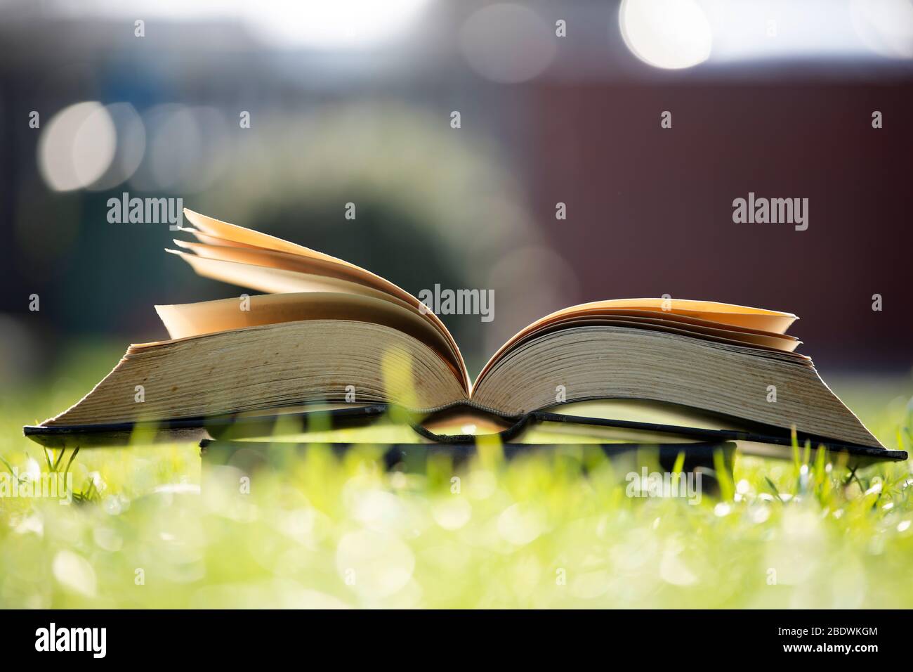Open book under sunlight outdoors. Education and wisdom concept Stock ...