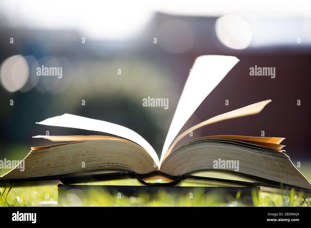 Open book under sunlight outdoors. Education and wisdom concept Stock ...