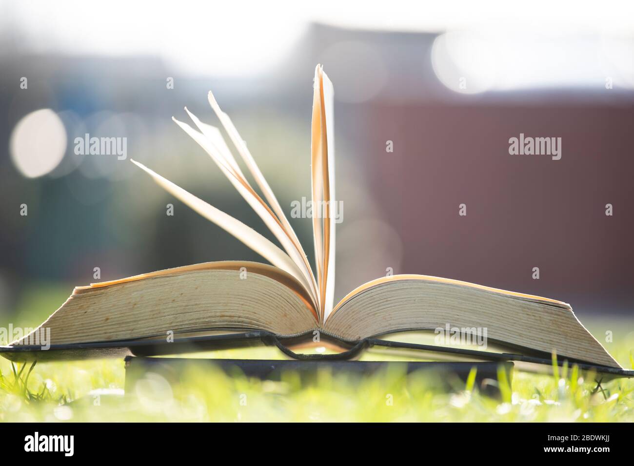 Open book under sunlight outdoors. Education and wisdom concept Stock ...