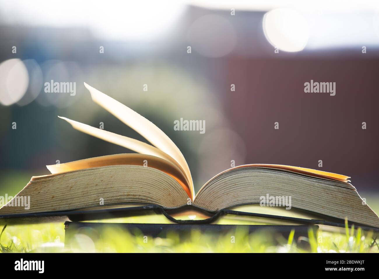 Open bible under hi-res stock photography and images - Alamy