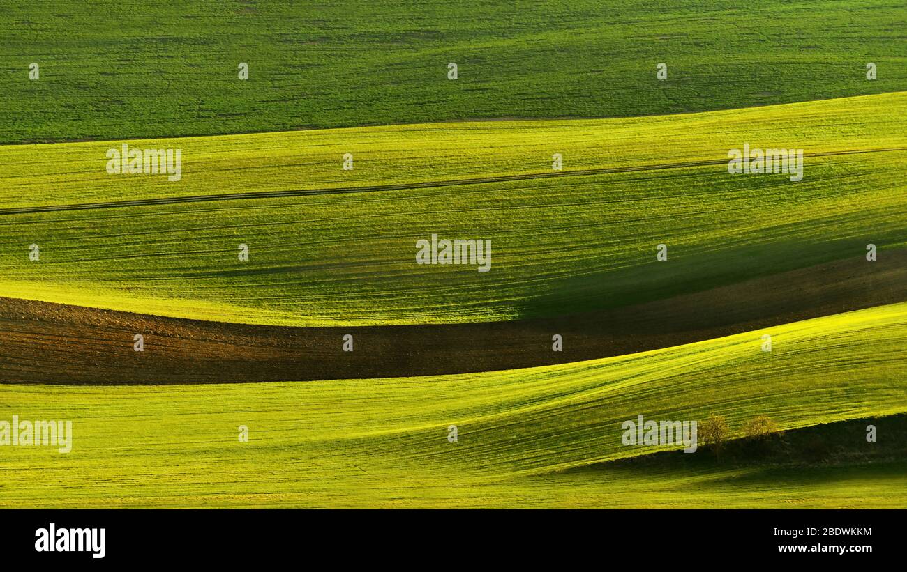 Beautiful spring landscape with field of grass hills at sunset. Waves ...
