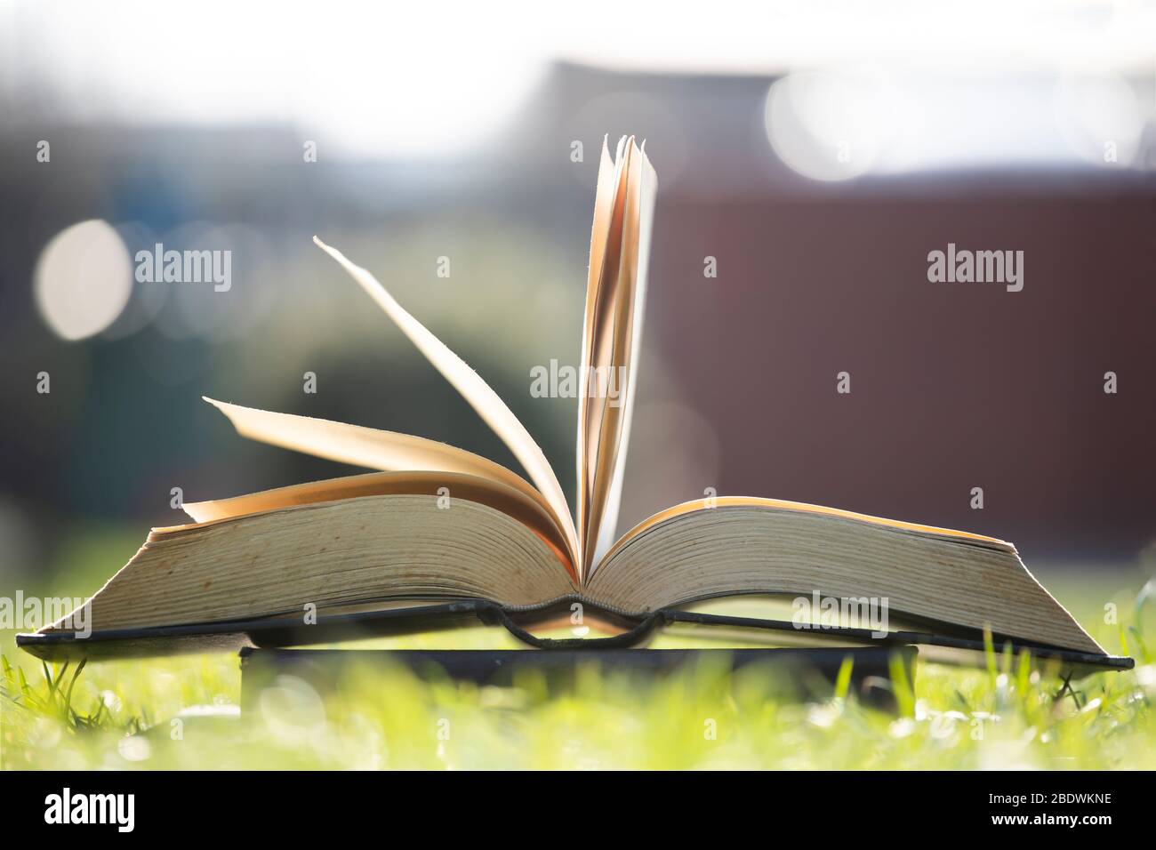 Open book under sunlight outdoors. Education and wisdom concept Stock ...