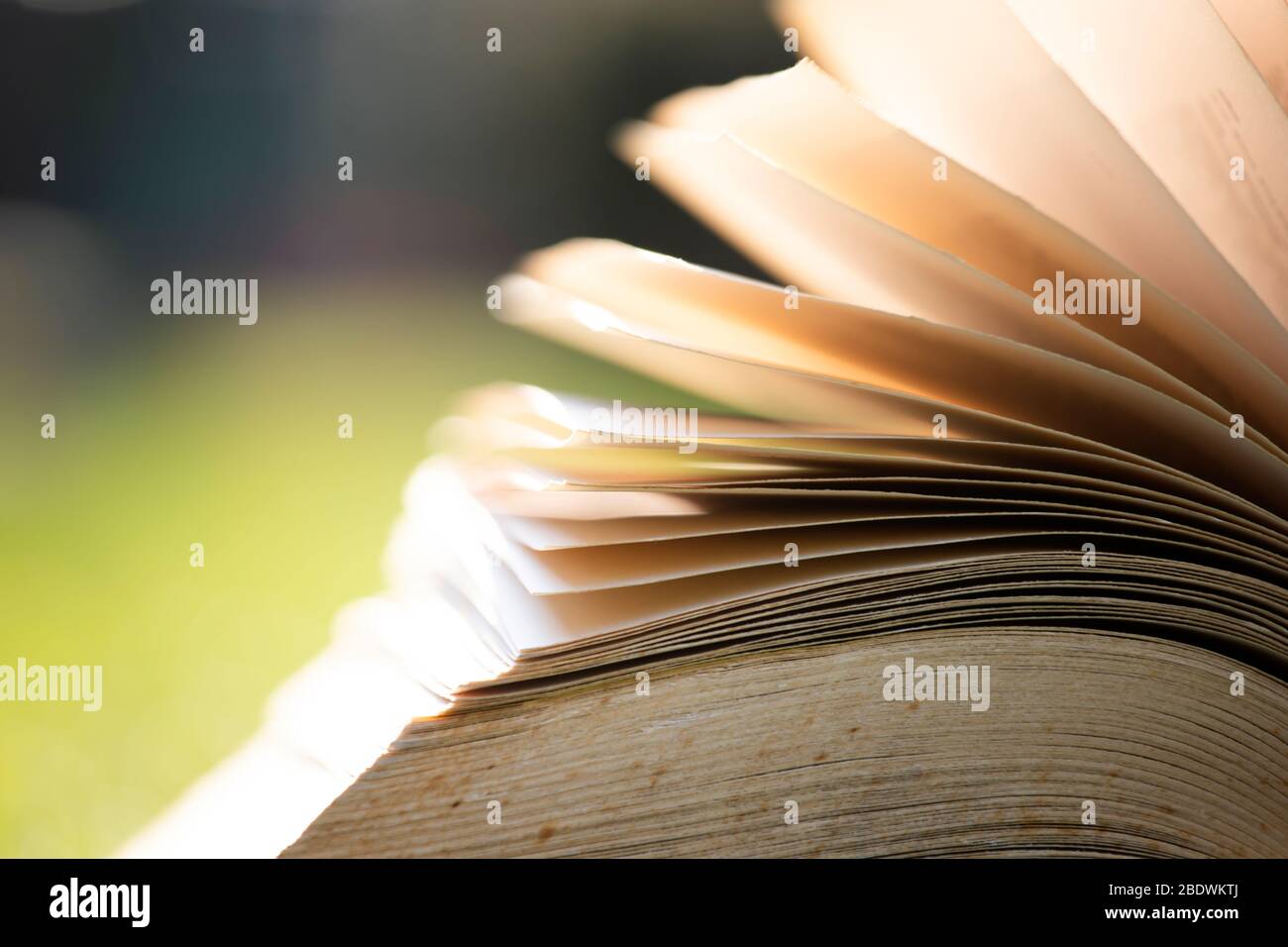Open book under sunlight outdoors. Education and wisdom concept Stock ...