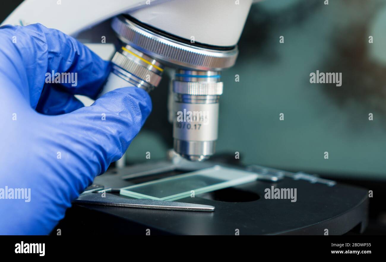 Vet and microscope hi-res stock photography and images - Alamy