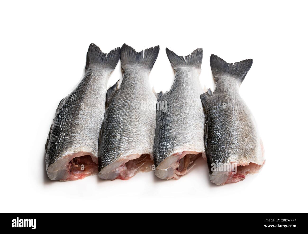 Raw whole headless seabass fish isolated on white Stock Photo - Alamy